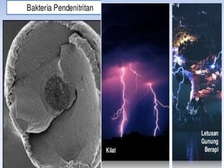FORM 5 BAB 2 : KITAR NITROGEN | PPT