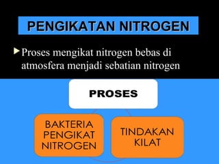 FORM 5 BAB 2 : KITAR NITROGEN | PPT