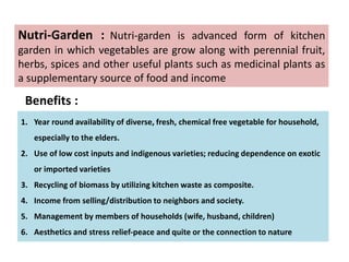 Kitchen-Garden PPT.pdf horticulture course | PDF