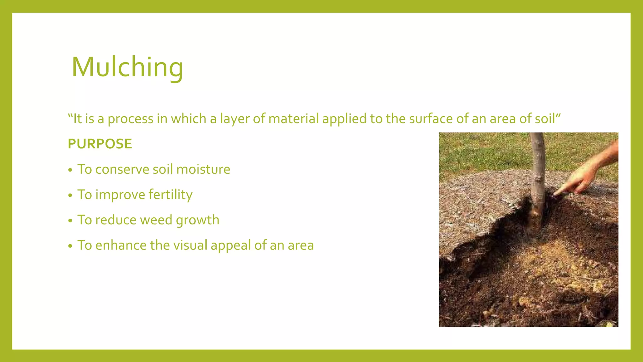 Kitchen Garden | PPT