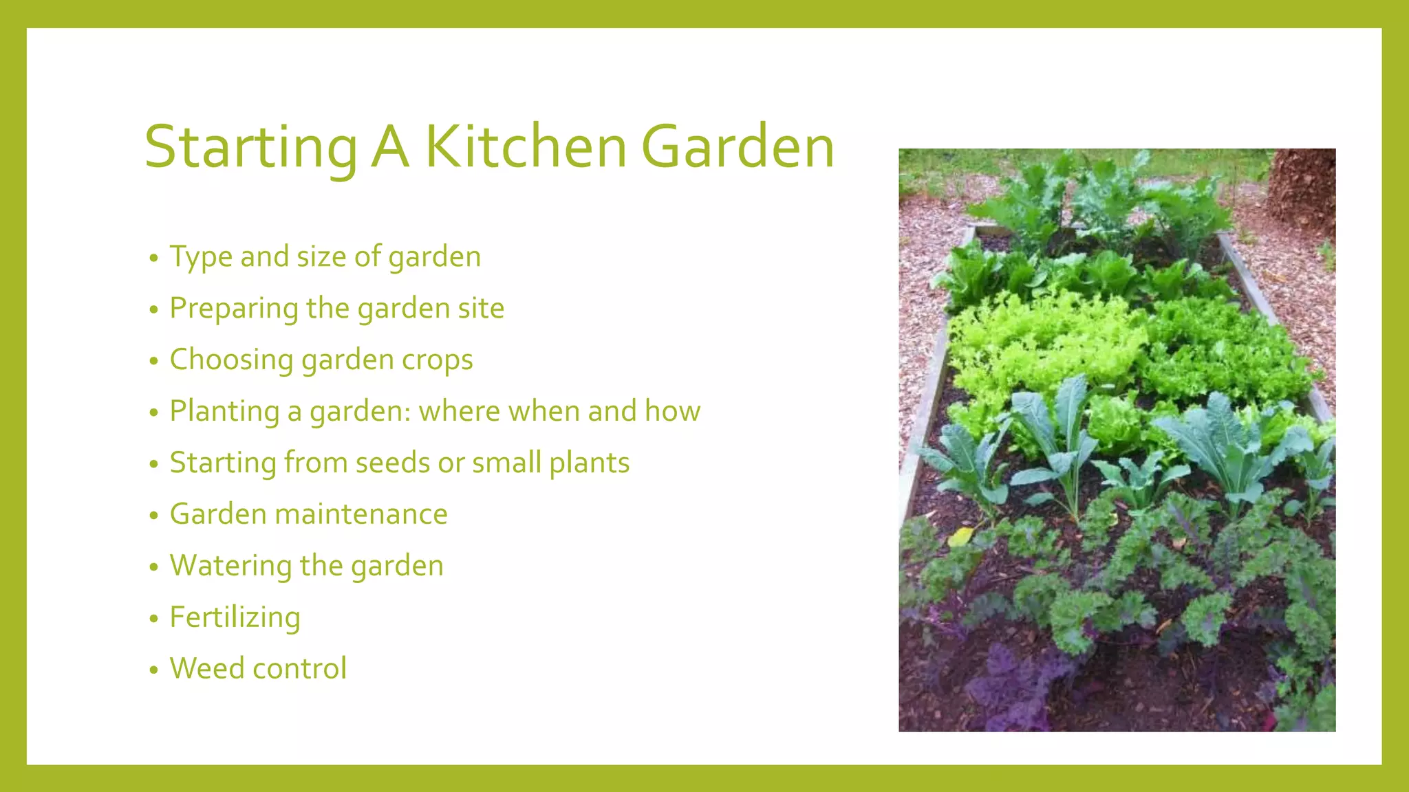 Kitchen Garden | PPTX