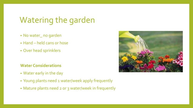 Kitchen Garden | PPTX | Gardening | Home & Garden