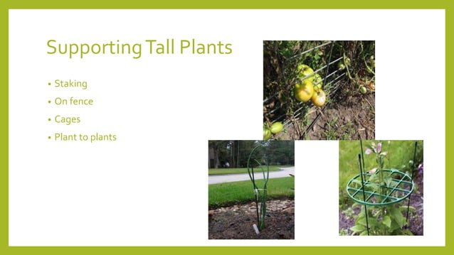 Kitchen Garden | PPTX | Gardening | Home & Garden