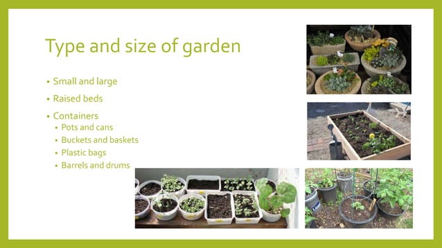Kitchen Garden | PPTX | Gardening | Home & Garden
