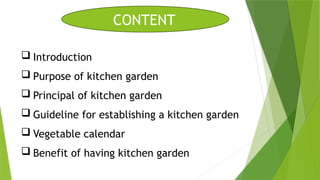 KITCHEN GARDEN.(Vegetable gardening)pptx | PPTX
