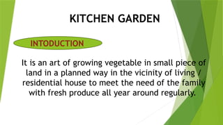 KITCHEN GARDEN.(Vegetable gardening)pptx | PPTX