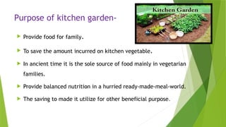 KITCHEN GARDEN.(Vegetable gardening)pptx | PPTX