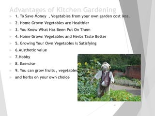 Kitchen garden objectives, importance and economy of kitchen gardening ...