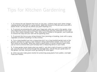 Kitchen garden objectives, importance and economy of kitchen gardening ...