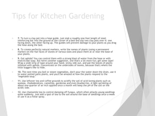 Kitchen garden objectives, importance and economy of kitchen gardening ...