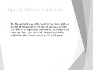 Kitchen garden objectives, importance and economy of kitchen gardening ...