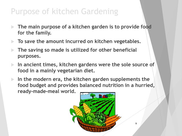 Kitchen garden objectives, importance and economy of kitchen gardening ...
