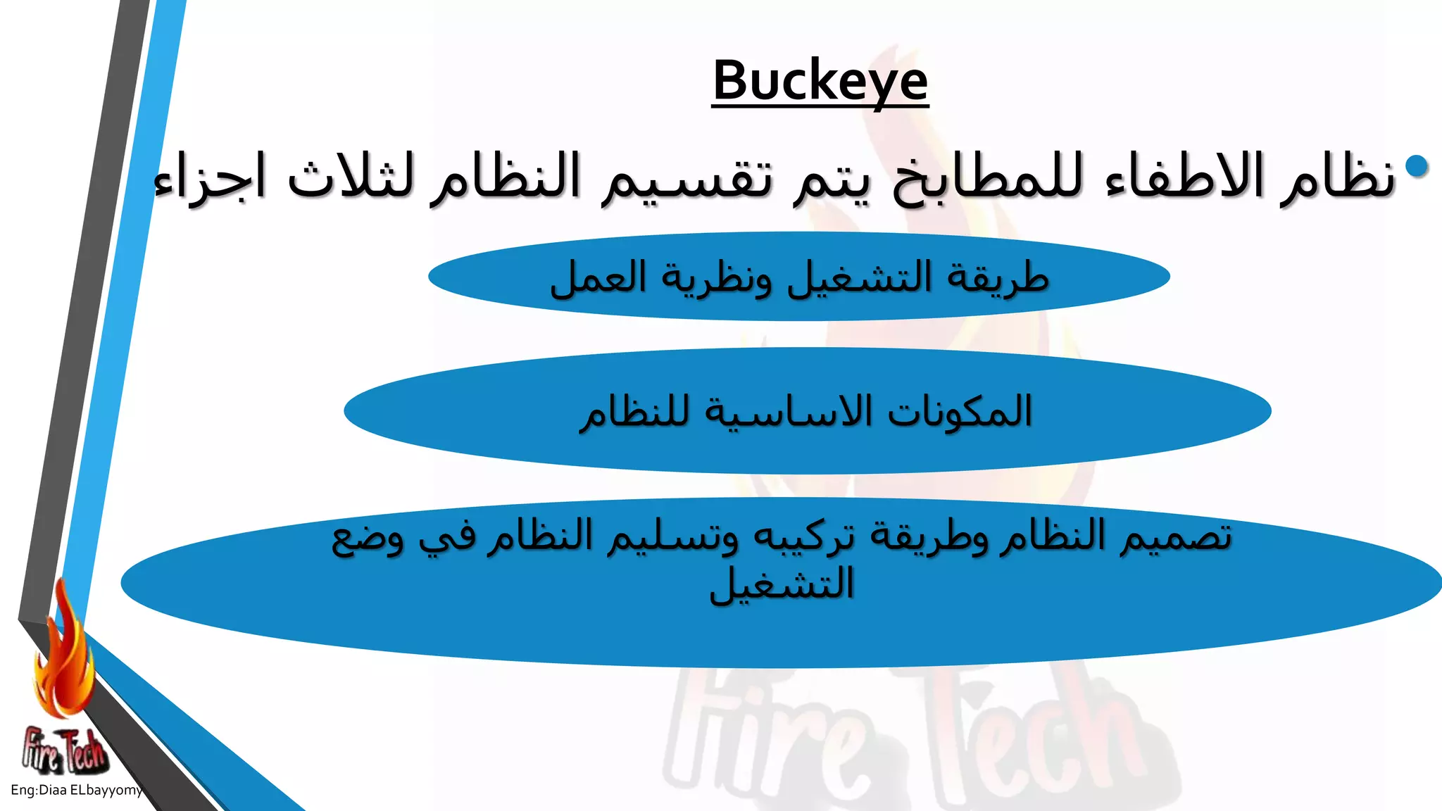 Kitchen mister restaurant cooking area fire suppression system buckeye ...