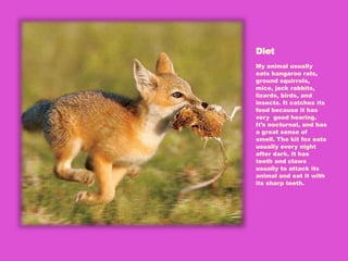 Kit Fox | PPTX