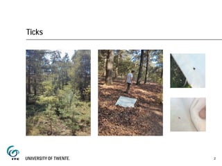 Modelling tick bites dynamics using VGI (2015) | PPT