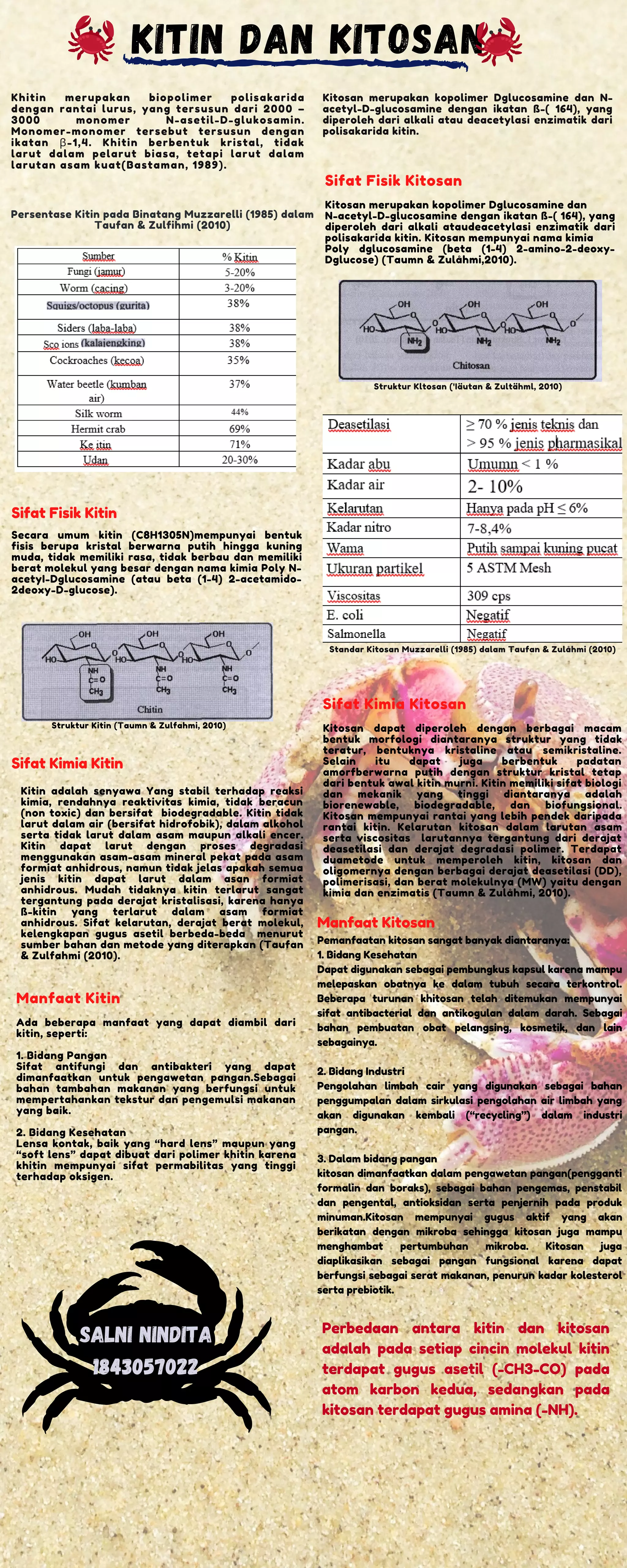 INFOGRAFIS Kitin dan kitosan | PDF