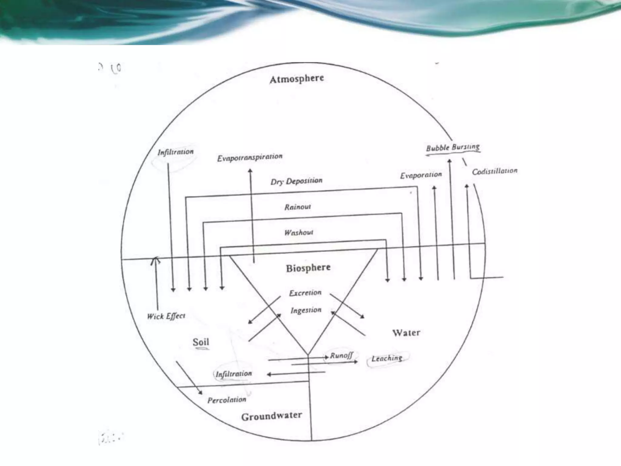 Chemical fate and transport in the environment. | PPTX