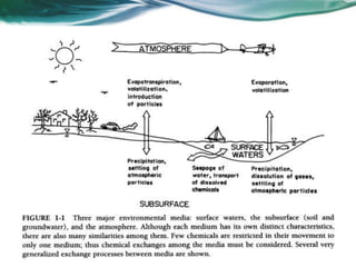 Chemical fate and transport in the environment. | PPTX