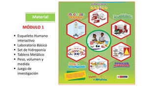 kIT MODULOS para trabajar en las diferentes areas primaria | PPTX