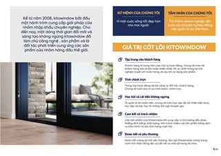 KITOWINDOW REYNAERS PROFILE.pdf