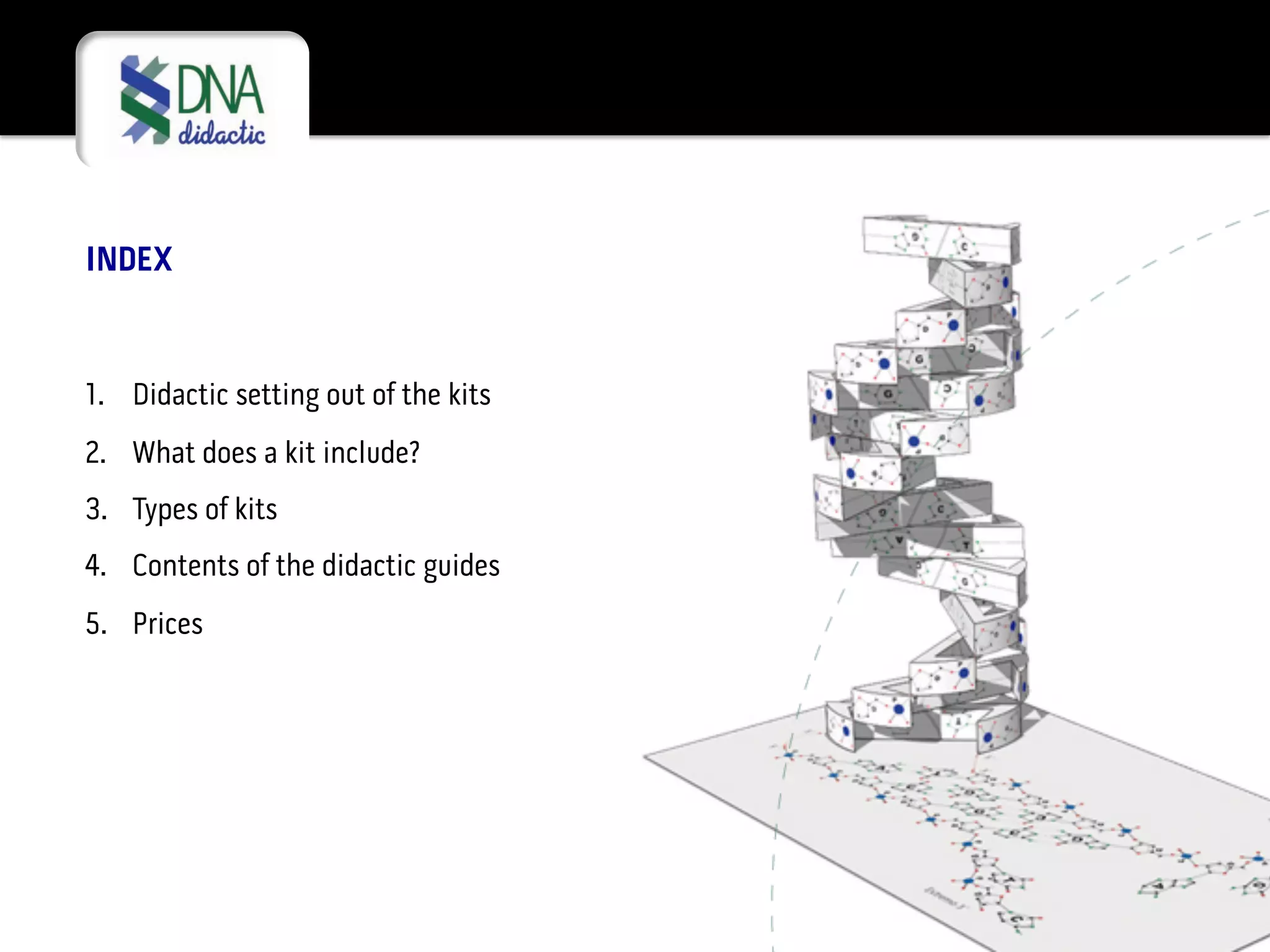 DNA Didactic kits I DNA easy & fun learning | PPT