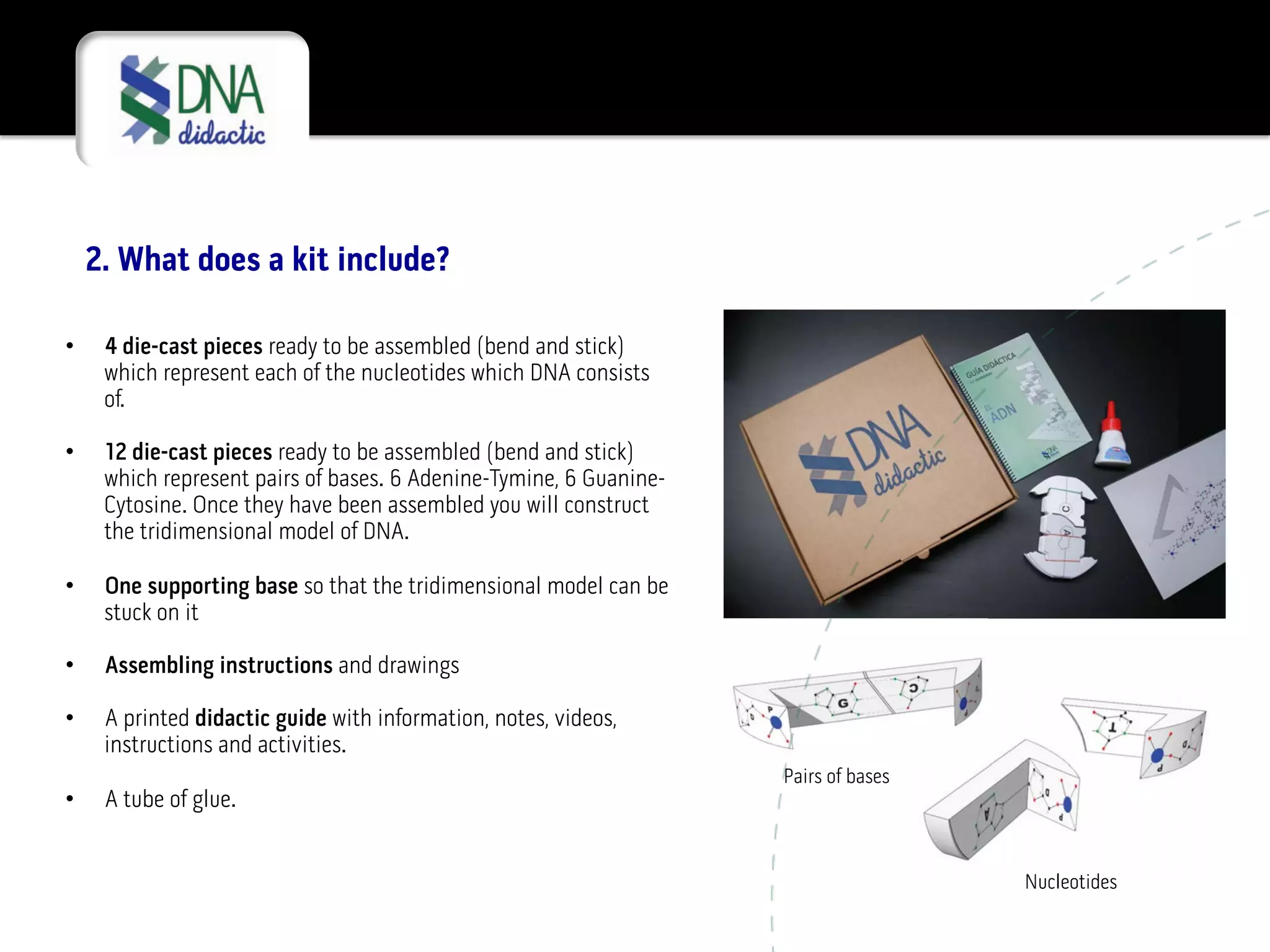 DNA Didactic kits I DNA easy & fun learning | PPT