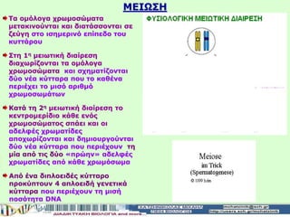 kittariki_diairesi.ppt