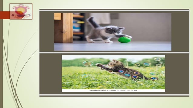 Kitten at play 5th Enhlish.pptx