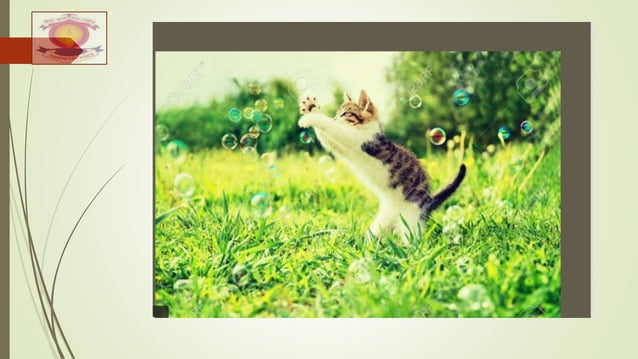 Kitten at play 5th Enhlish.pptx