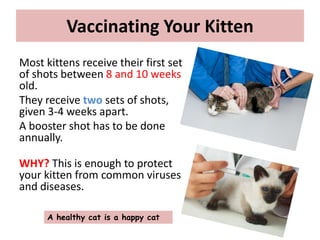 Kittens and vaccinations_and_deworming | PPTX