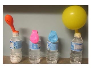 Kitty's science experiment | PPTX