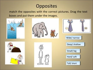 Kitty wants a box Opposite | PPT