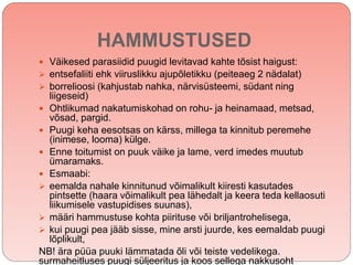 Käitumine õnnetusjuhtumi korral ja esmaabi | PPT