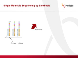 Kitzmiller Openhelisphereproject Bosc2008 | PPT