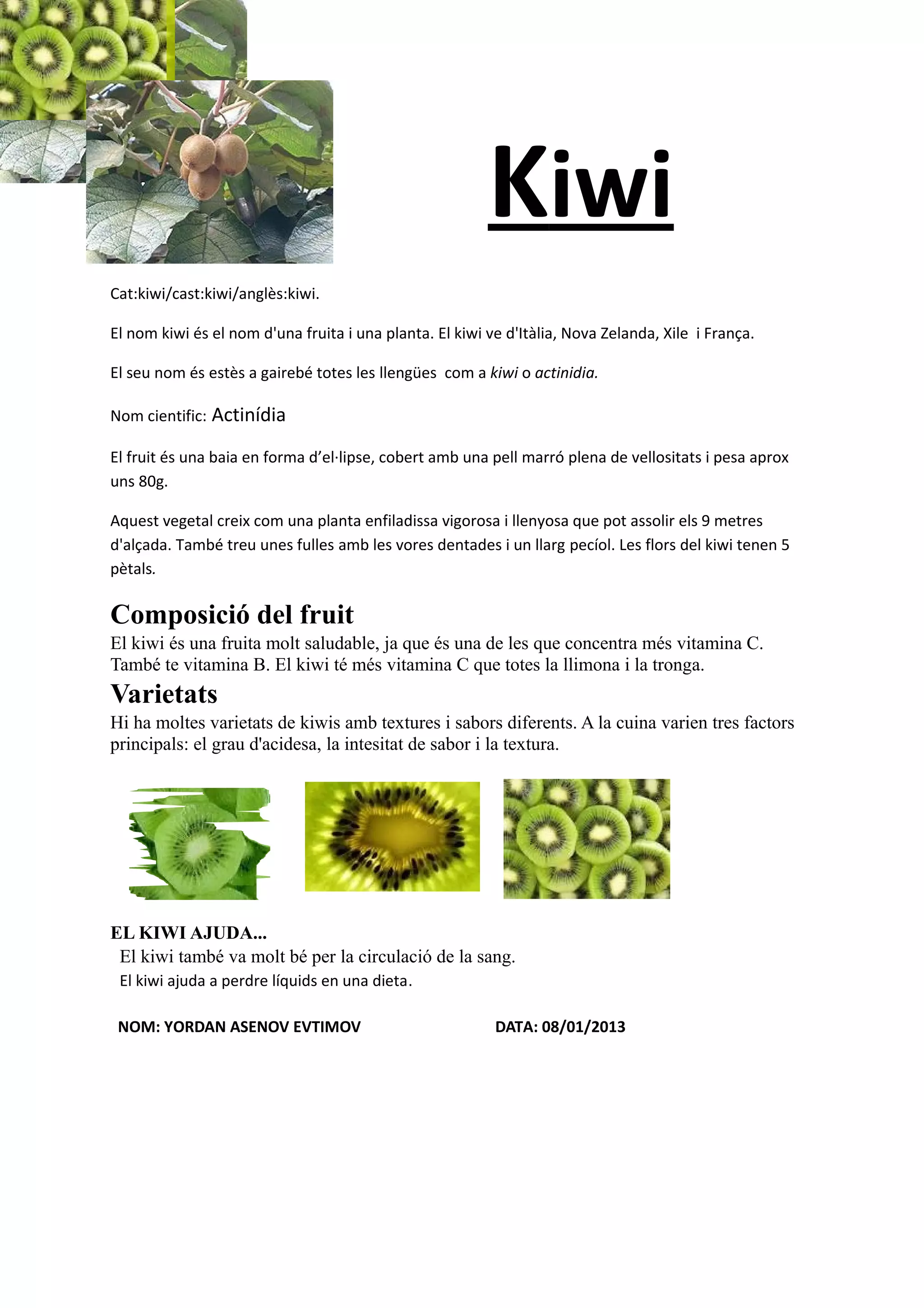 Kiwi fruita | PDF