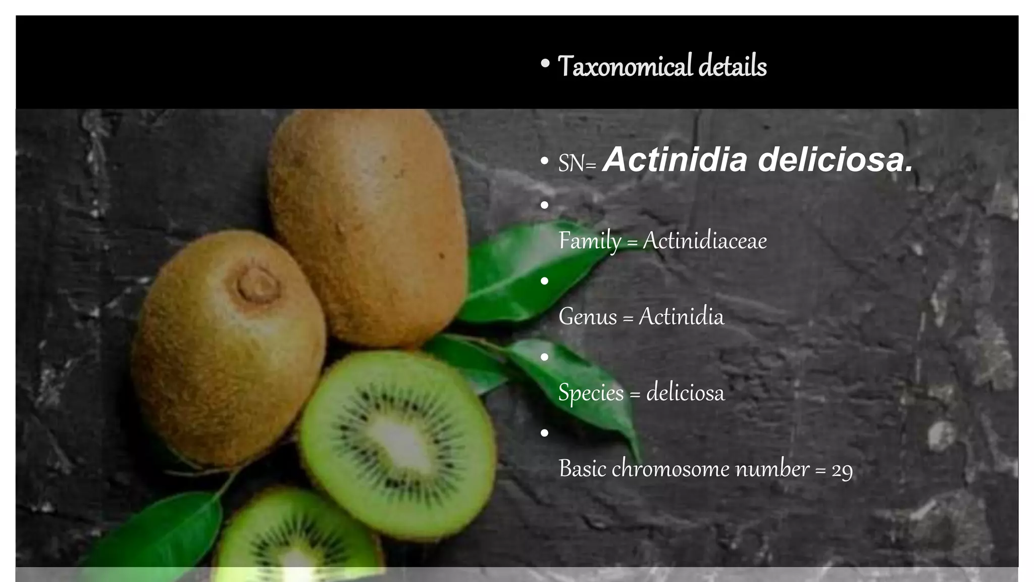 kiwi fruit introduction.pptx