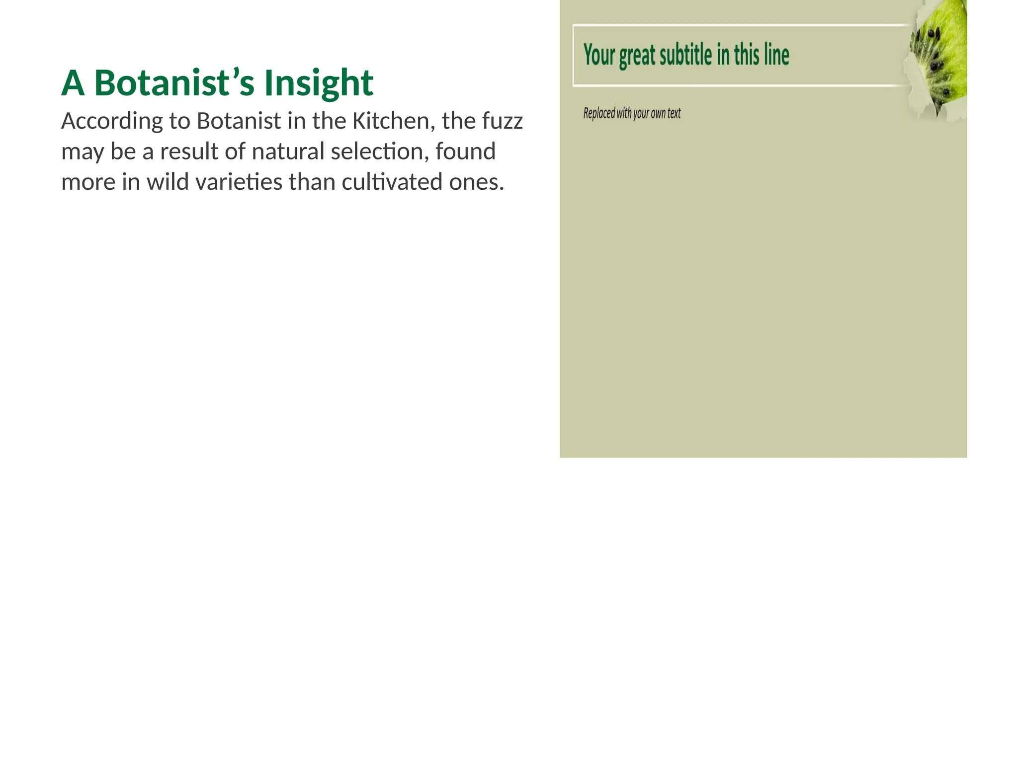 Kiwi_Fruit_Presentation.pptxمبسط عن الكيوي عرض | PPT