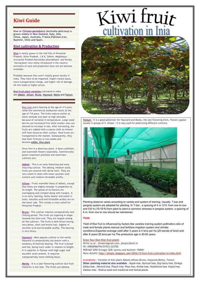 Kiwi guide | PDF