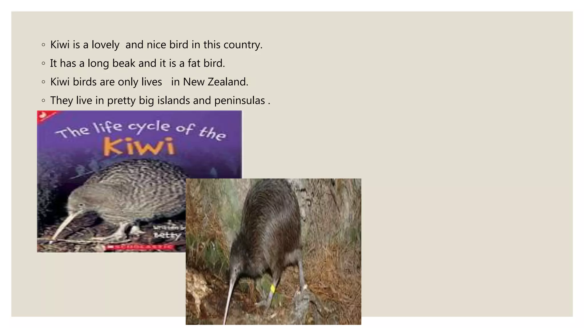 Kiwi life cycle by Kaveesha | PPTX