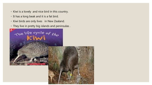 Kiwi life cycle by Kaveesha | PPTX