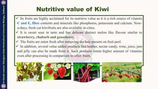 Kiwi production technology.pptx