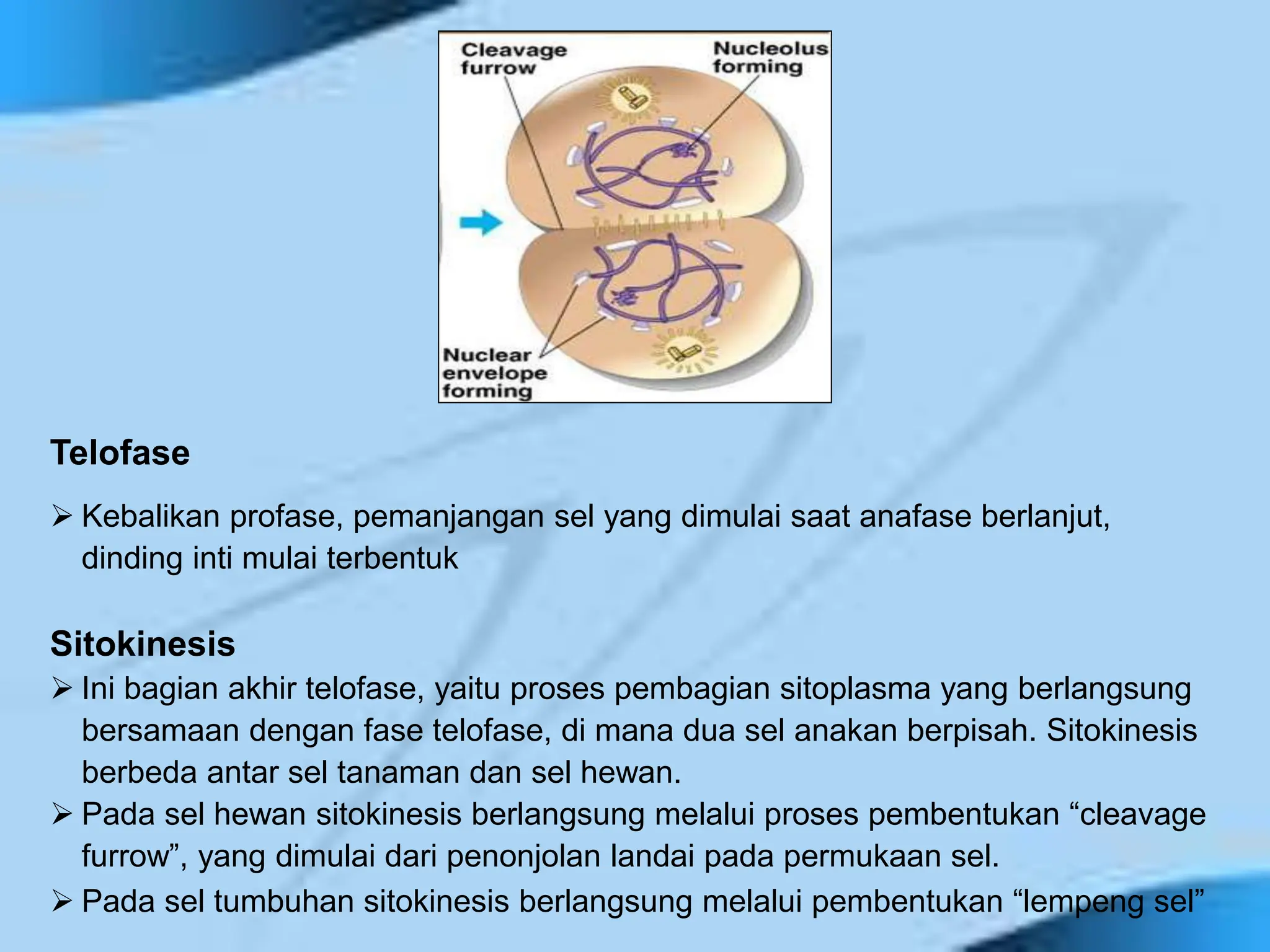 Kelas 9 SMP IPA Materi PEMBELAHAN sel mitosis dan meiosis | PPT