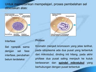 Kelas 9 SMP IPA Materi PEMBELAHAN sel mitosis dan meiosis | PPT