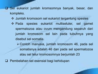 Kelas 9 SMP IPA Materi PEMBELAHAN sel mitosis dan meiosis | PPT