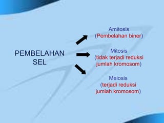 Kelas 9 SMP IPA Materi PEMBELAHAN sel mitosis dan meiosis | PPT