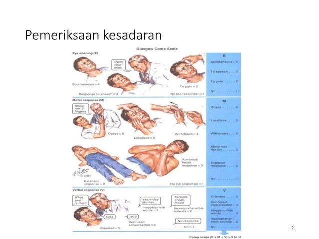 Pemeriksaan Fisik Neurologis.ppt