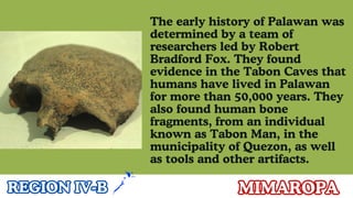 The Province of Palawan: History, Geography and Tourist Destinations | PDF