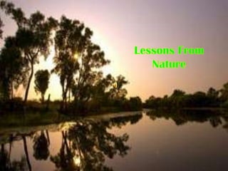 Lessons from Nature | PPT