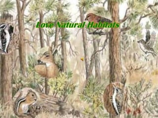 Lessons from Nature | PPSX