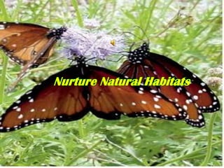 Lessons from Nature | PPSX